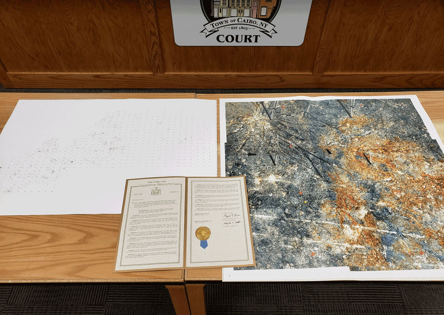 Oldest Fossil Forest - Cairo Fossil Forest | Town of Cairo